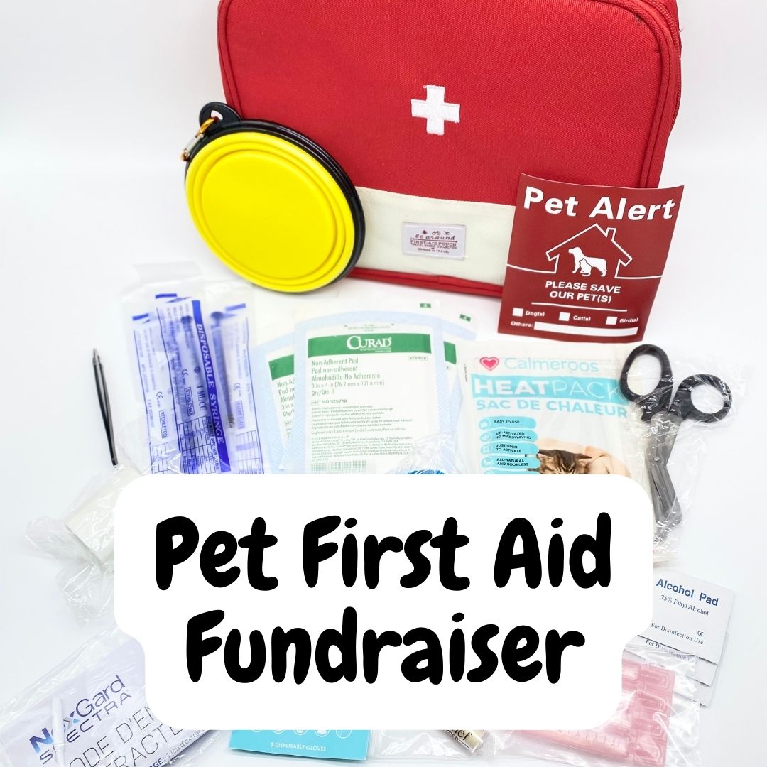 First Aid Kit Fundraiser – Super Senior Cat Sanctuary