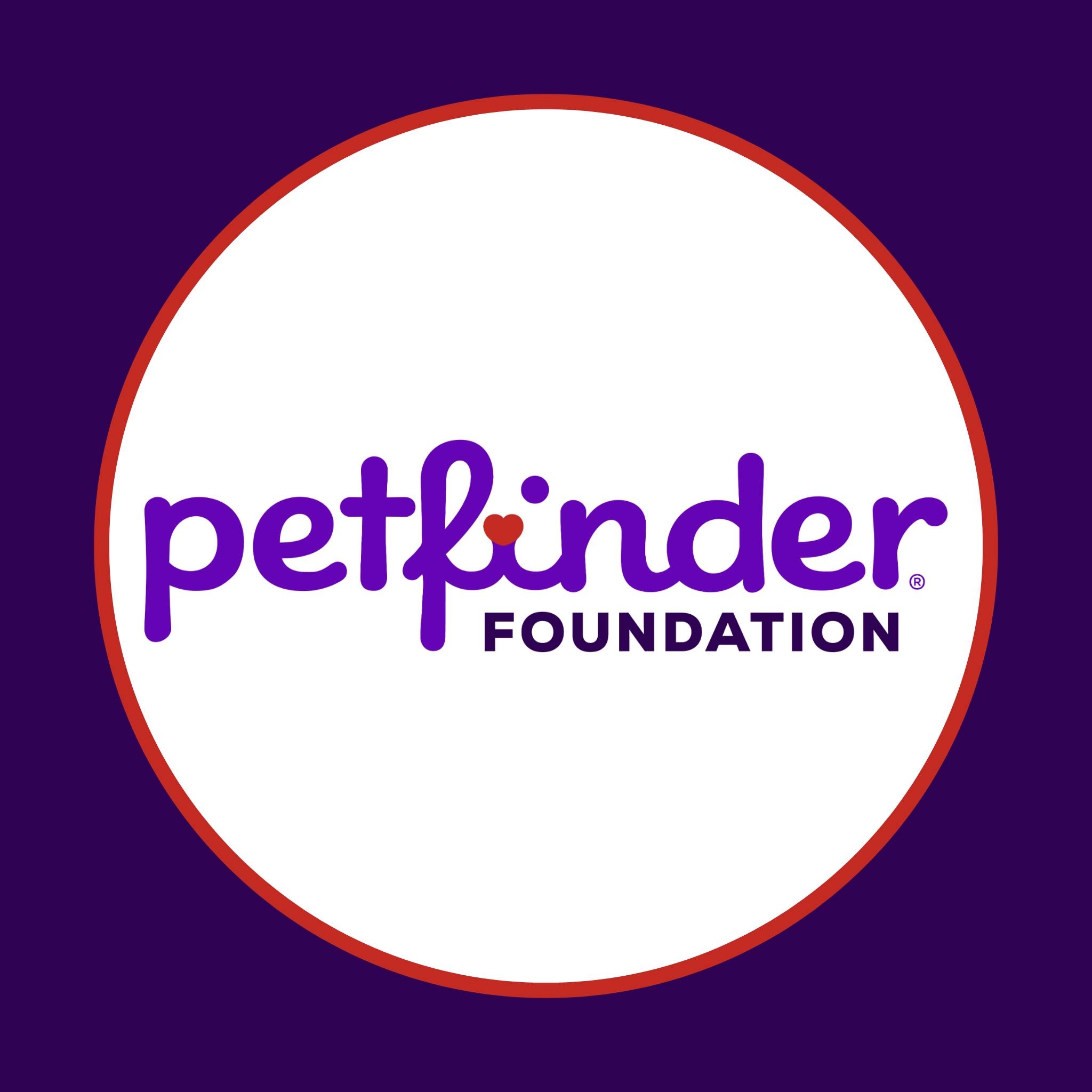 Sponsors and Grants – Super Senior Cat Sanctuary