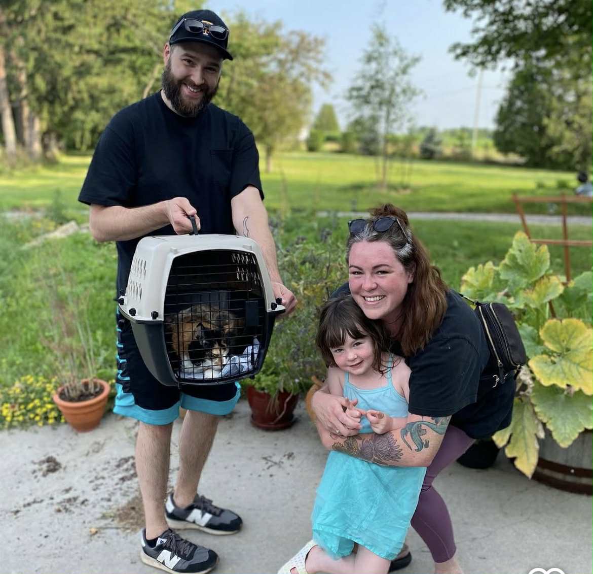 Happy Tails! – Super Senior Cat Sanctuary